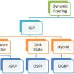 Dynamic Routing : A Complete Guide for Beginner and Expert
